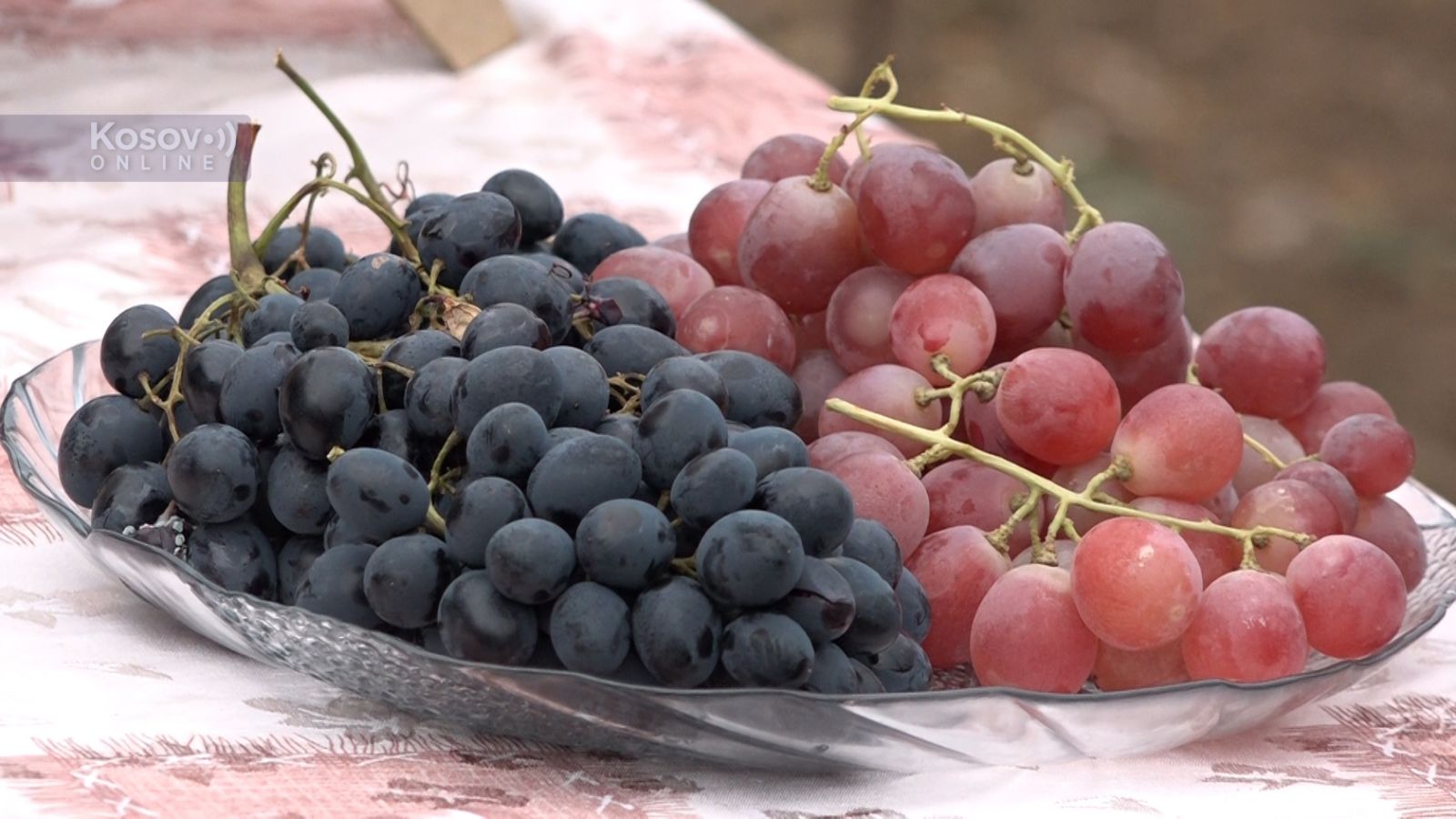 Tradicionalno obeležen Sveti Trifun u vinogradima „Doline Ibra“ u ...
