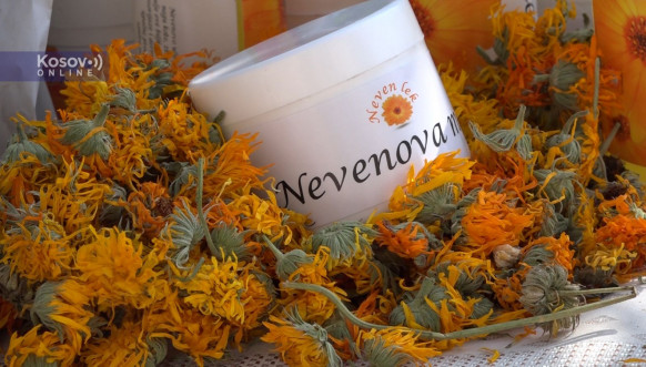 Učiteljica iz Sočanice uzgaja neven, cvet za koji kažu da leči 100 ...