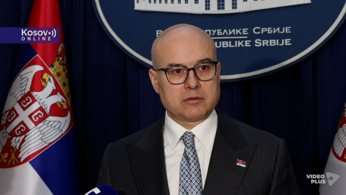 Vucevic: International institutions must prevent the destruction of ...