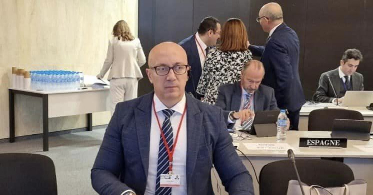 Rakic at the NATO Parliamentary Assembly: We seek fulfillment of the ...