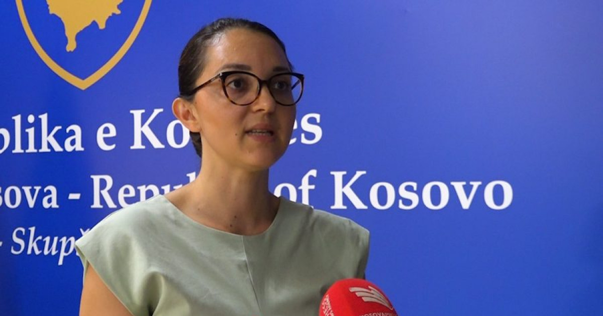 Krieziu Hiseni: Izjava Hovenijera nije diplomatska - Kosovo Online
