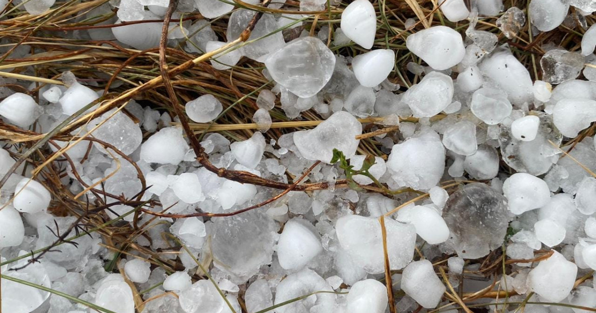 Delove Kosova pogodilo nevreme, posle suše poljoprivredne useve uništio ...