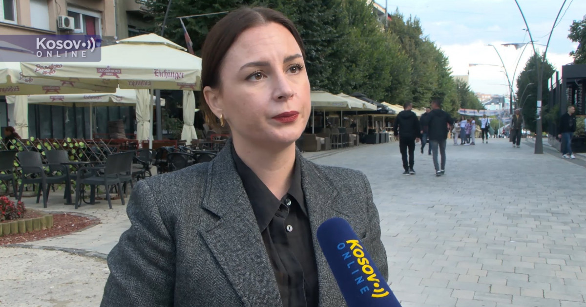 Radosavljevic: Without new mayors and councilors, there will be no ...