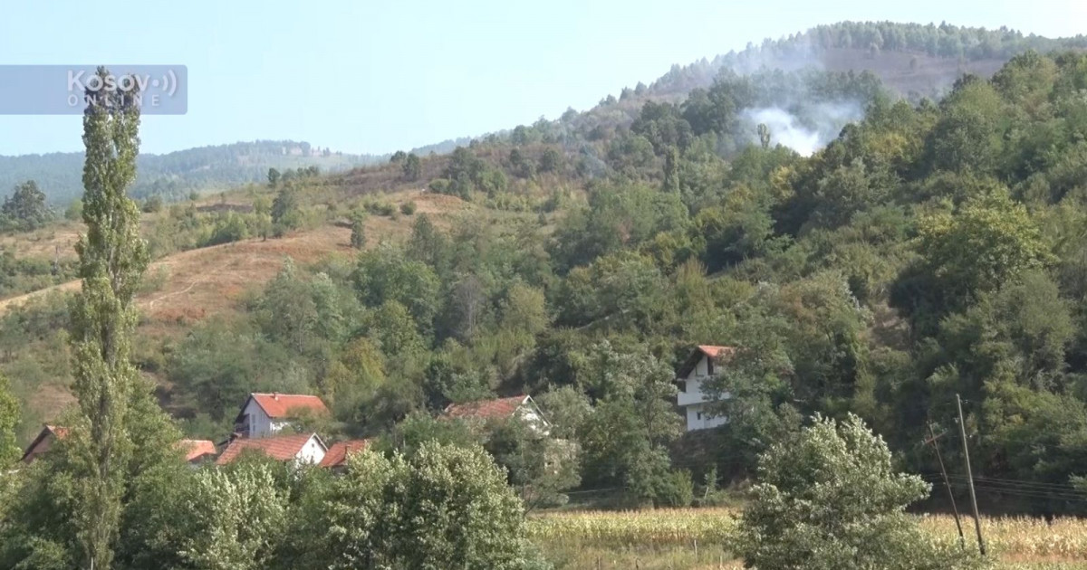Požar u Gornjoj Bitinji pod kontrolom - Kosovo Online