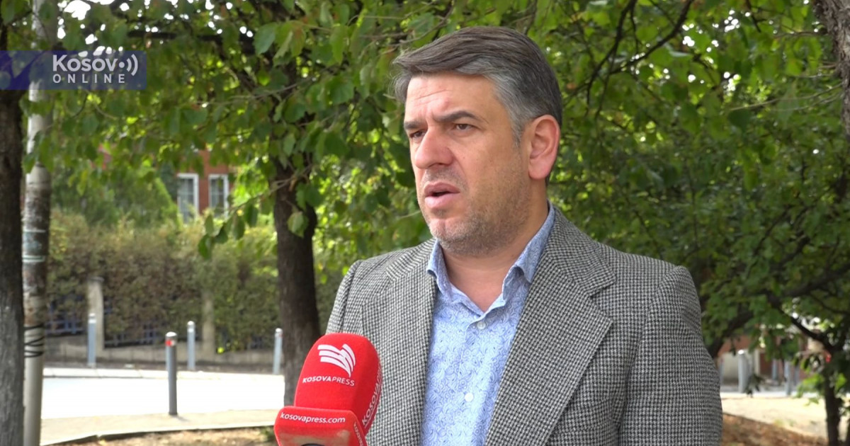 Maljoku: Dijaspora ostaje samo glasačko telo, bez pravog predstavnika u ...